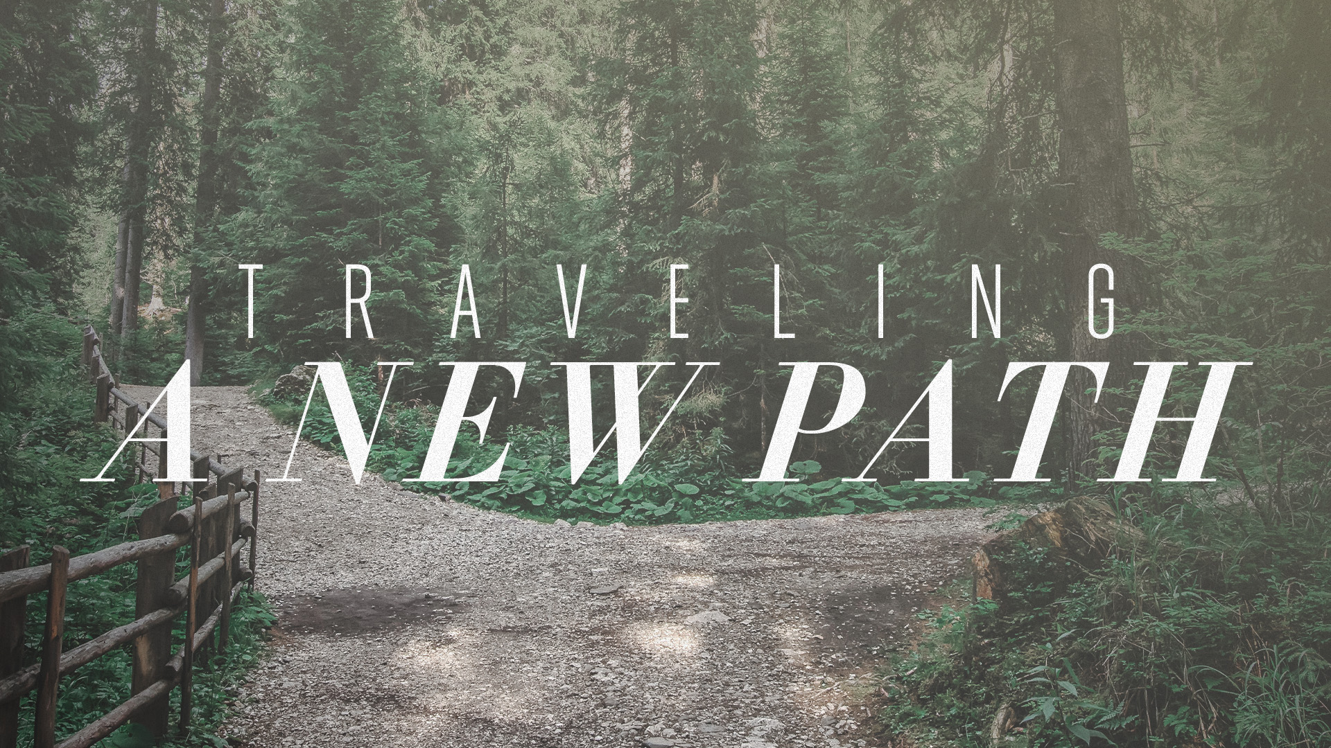 Traveling a New Path - Trinity Methodist Church
